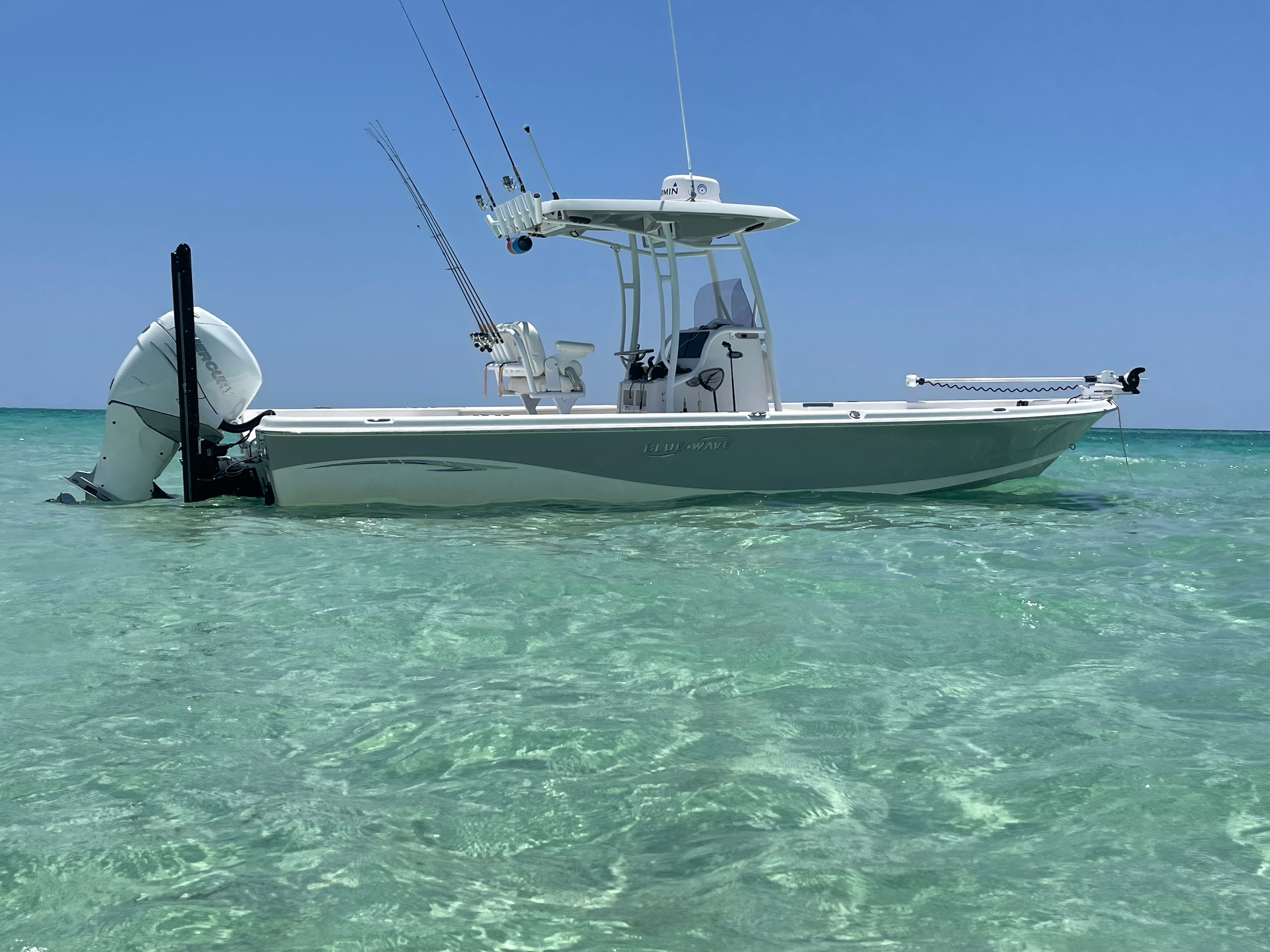 Amberjack Season 2025