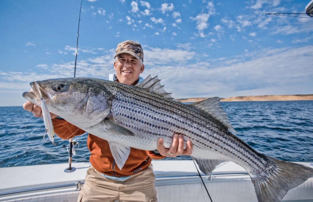 The 15 Best Fishing Charters in Salem, MA