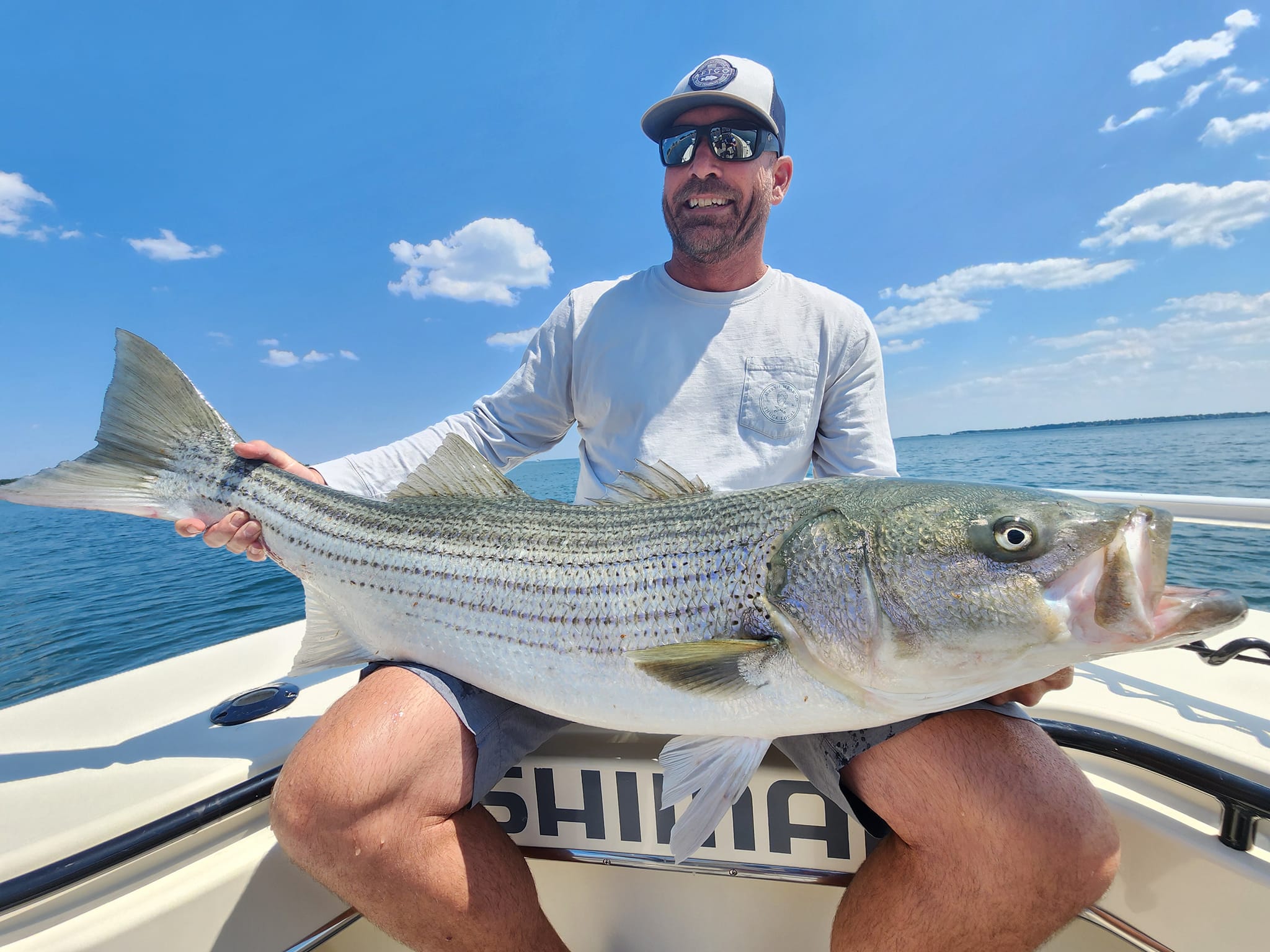 The 7 Best Bluefish Fishing Charters in Boston Harbor