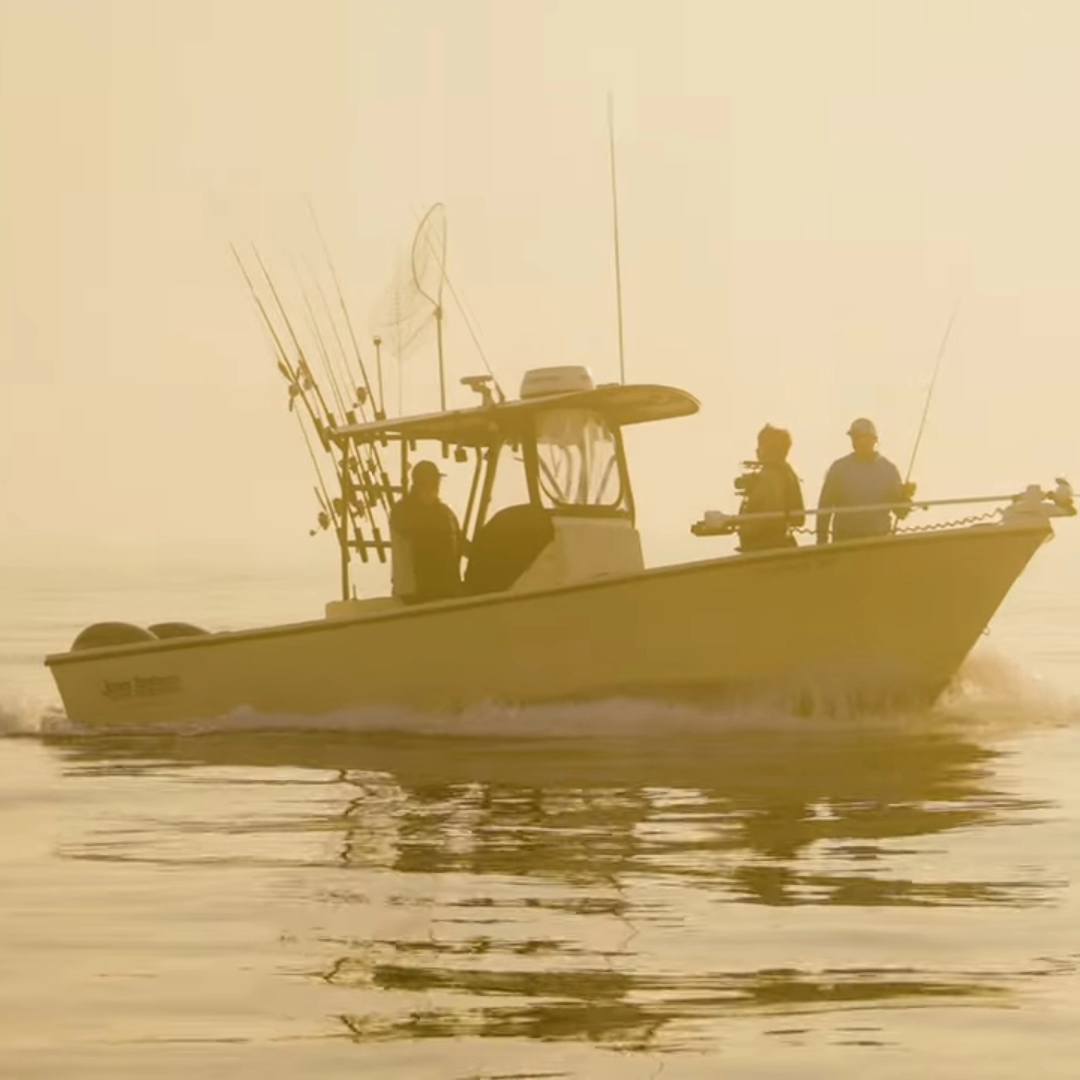 The 7 Best Bluefish Fishing Charters in Boston Harbor