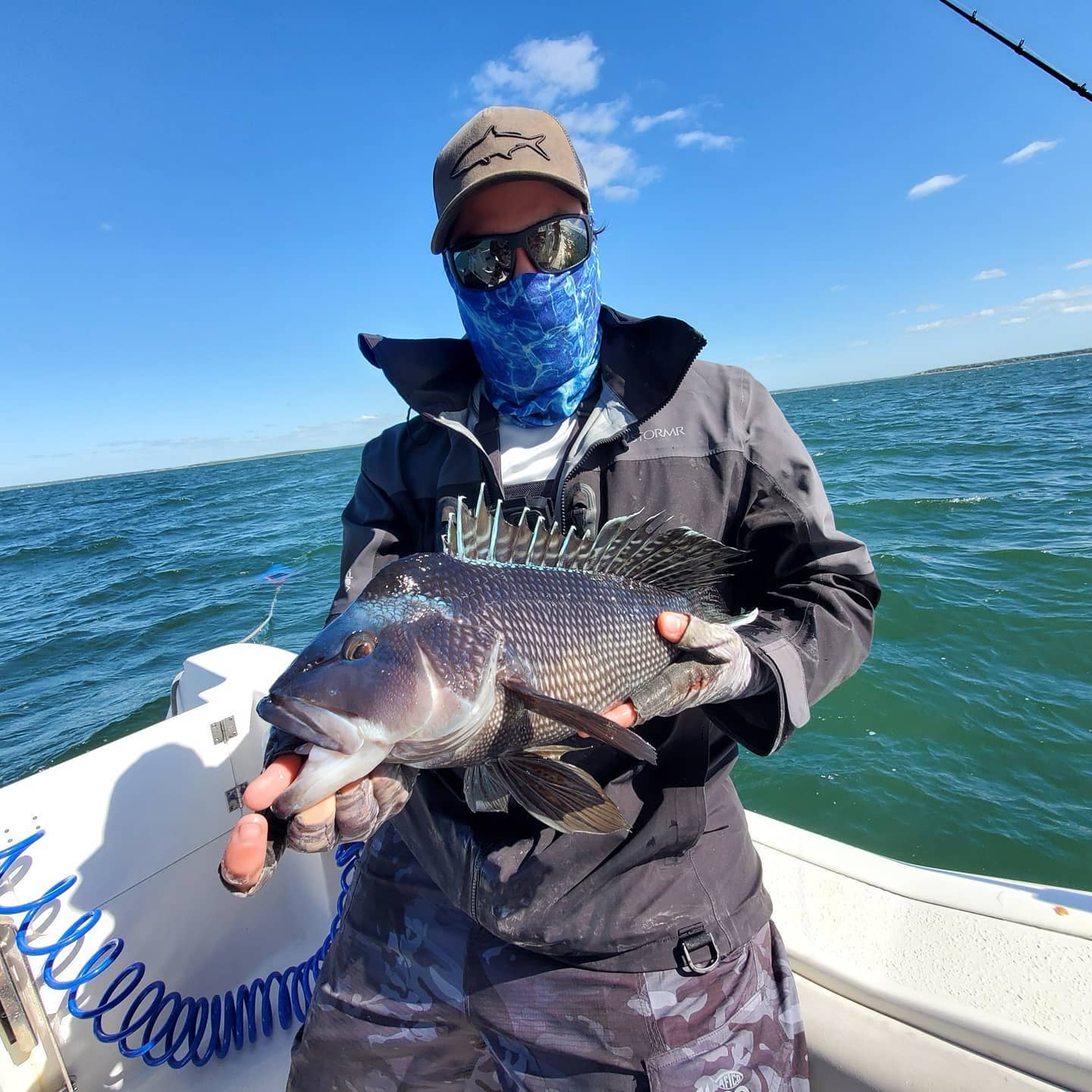 Cod Fishing Charters in Boston Harbor