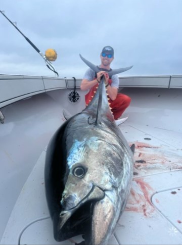 Bluefin Tuna Fishing Charters in Boston Harbor