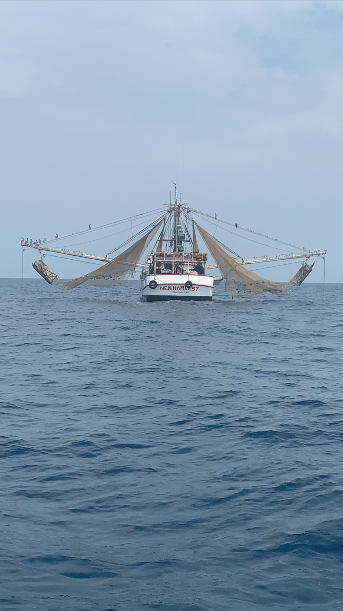 The Ultimate Guide To Deep Sea Fishing