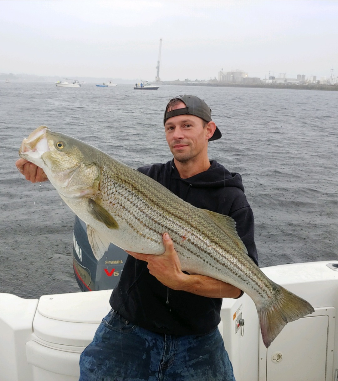 Skipjack Tuna Fishing Charters in Narragansett Bay