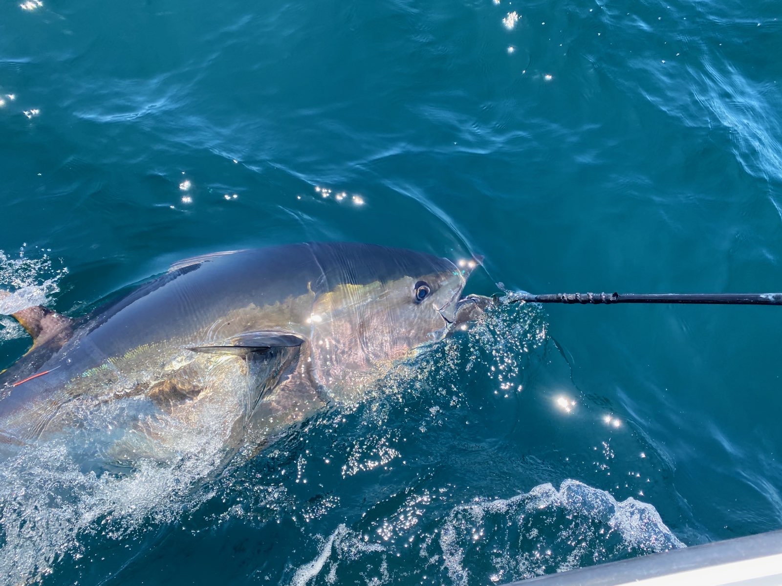 The 15 Best Fishing Charters in Nantucket, MA