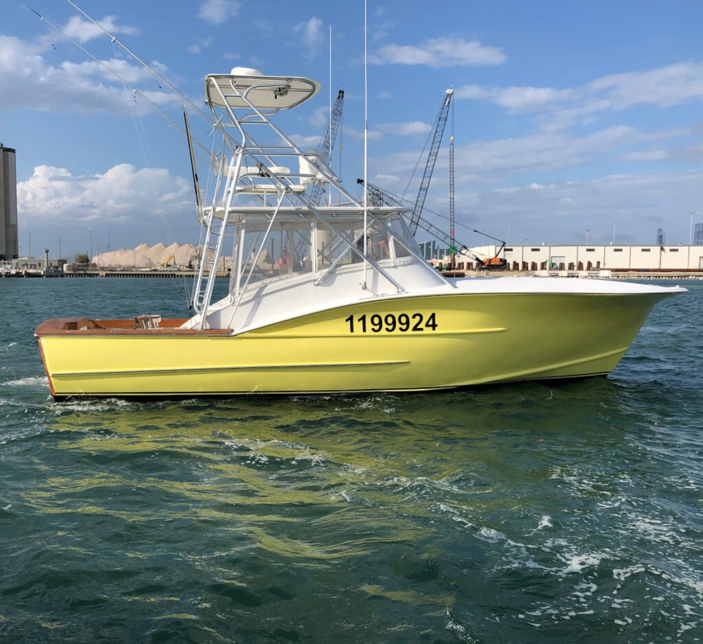 The Difference Between Lesser & Greater Amberjack