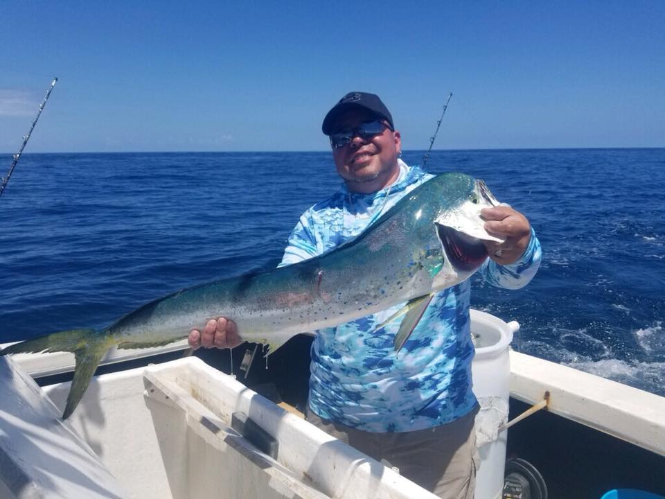 The Difference Between Lesser & Greater Amberjack