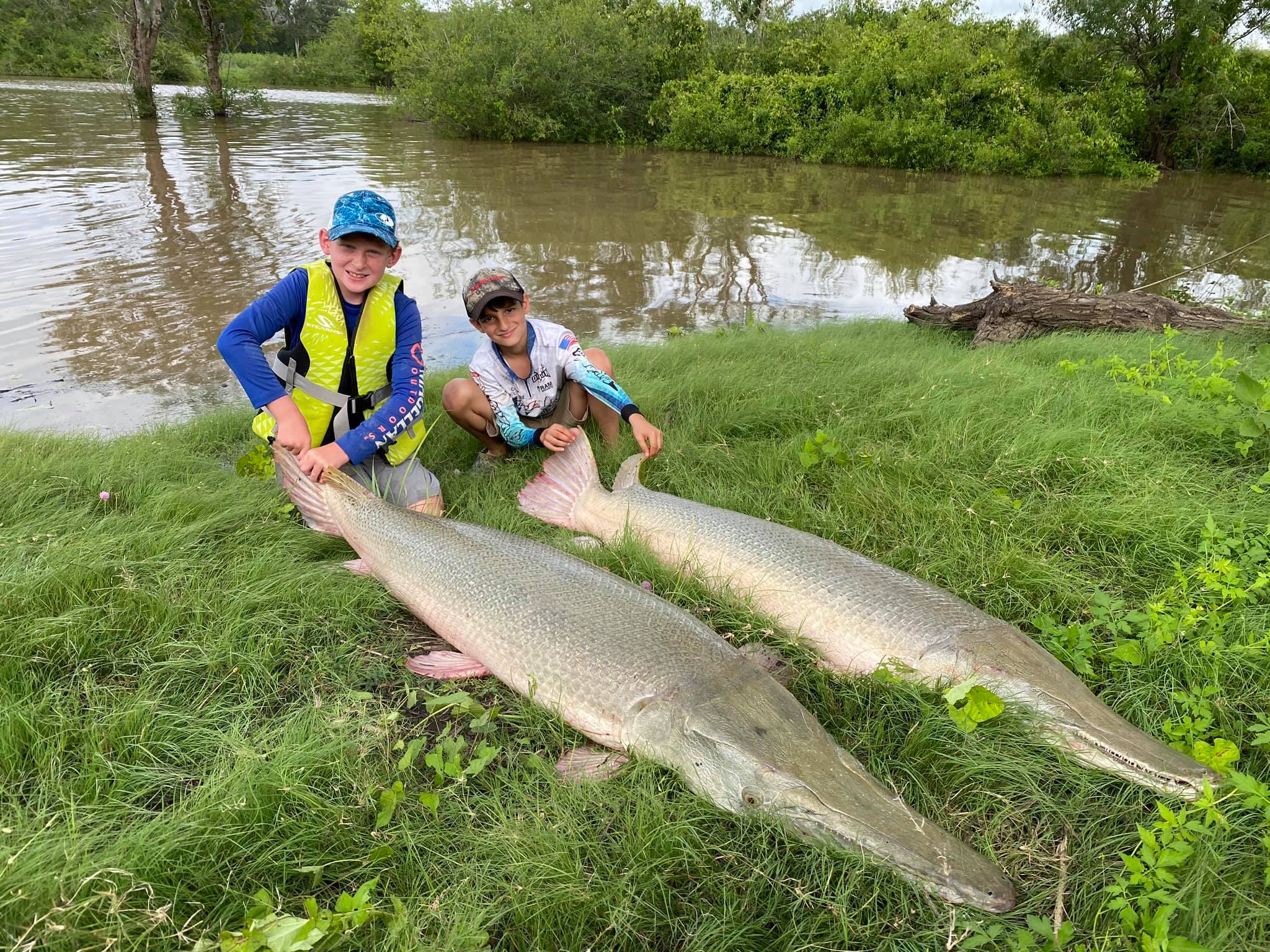 Alligator Gar Fishing In Little Elm