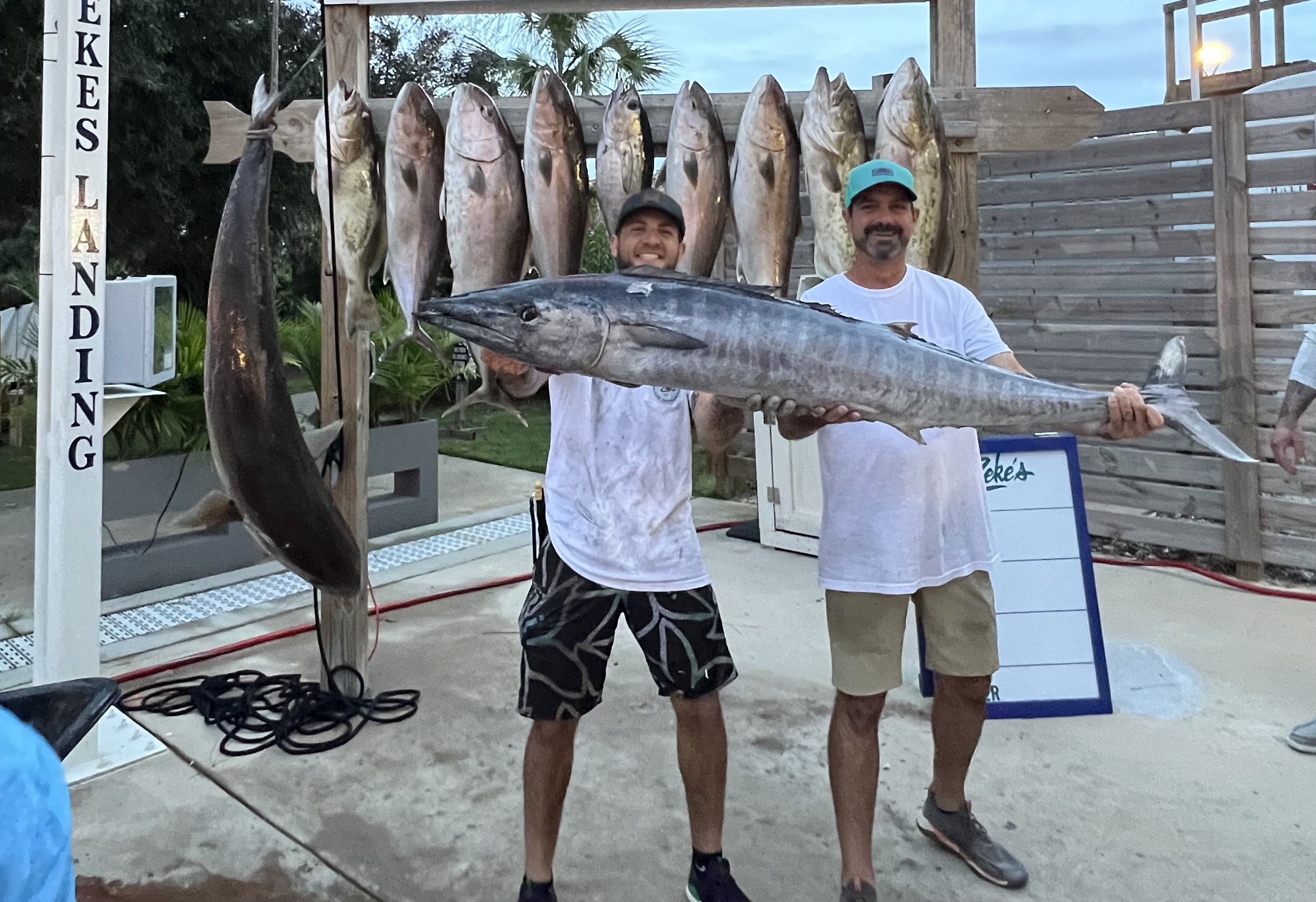Amberjack Season 2025