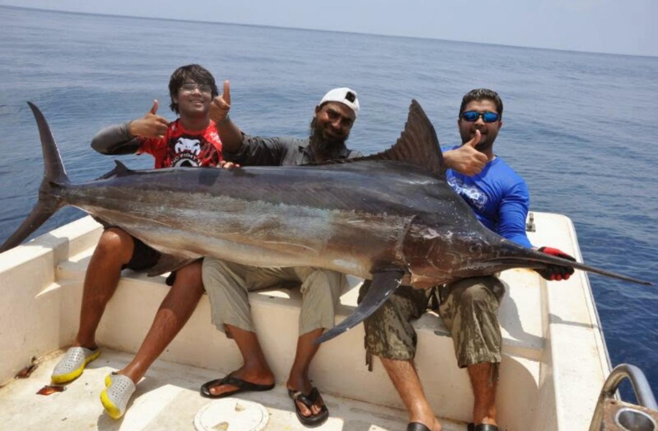 7 Types Of Trevally: Everything You Need To Know