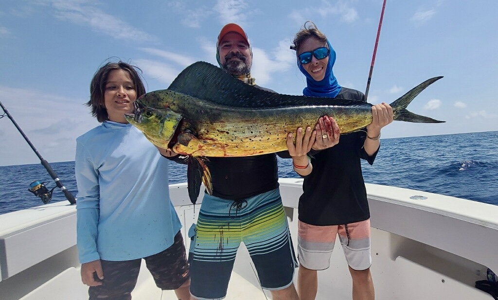 Amberjack Season 2025