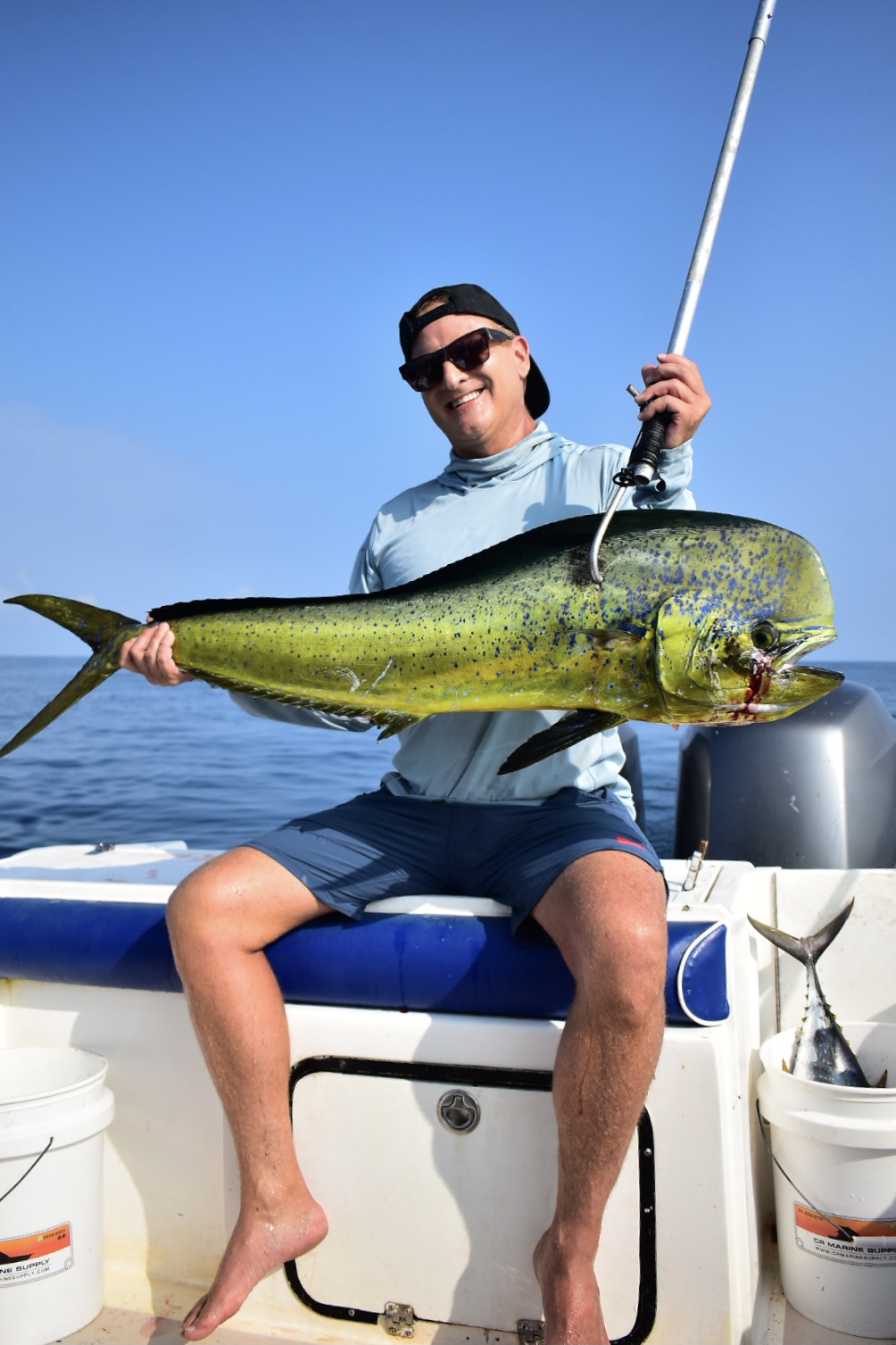 The Difference Between Lesser & Greater Amberjack