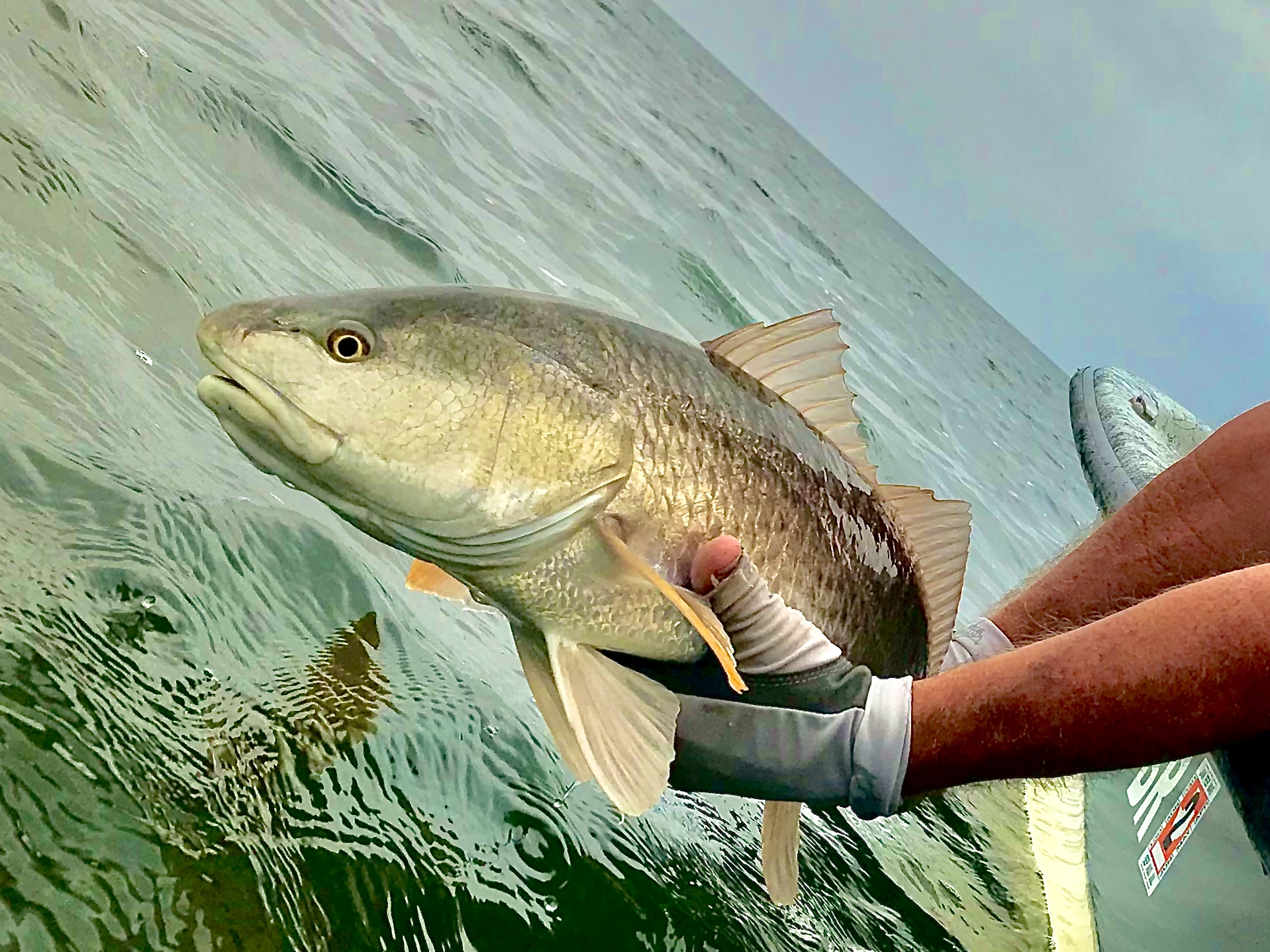 Everything To Know About Fishing South Padre Island