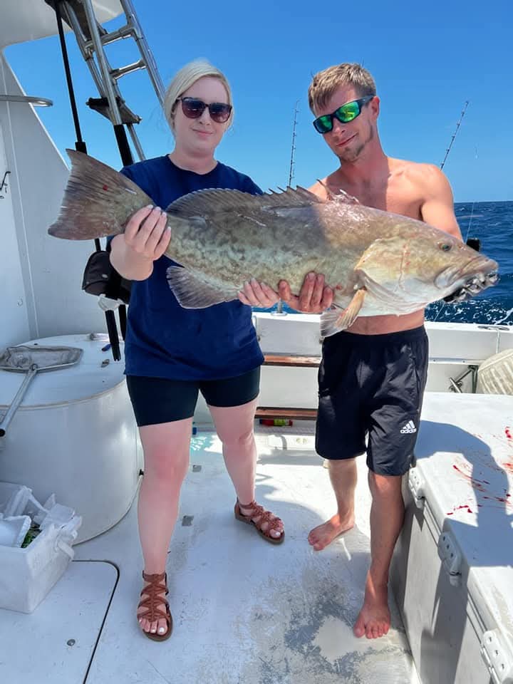 Amberjack Season 2025