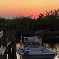 The 15 Best Alligator Hunting Guides