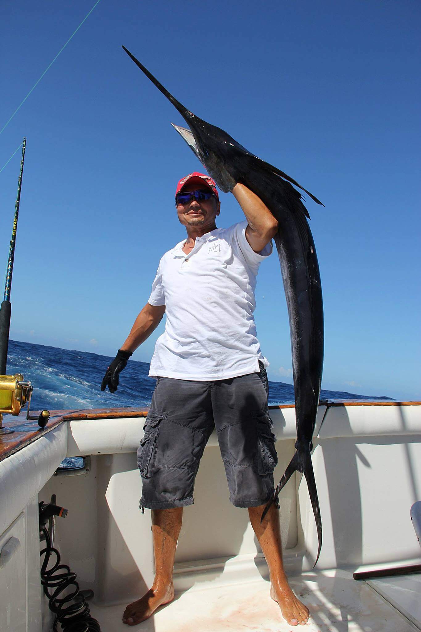 The 5 Best Blue Marlin Fishing Charters in Dominican Republic