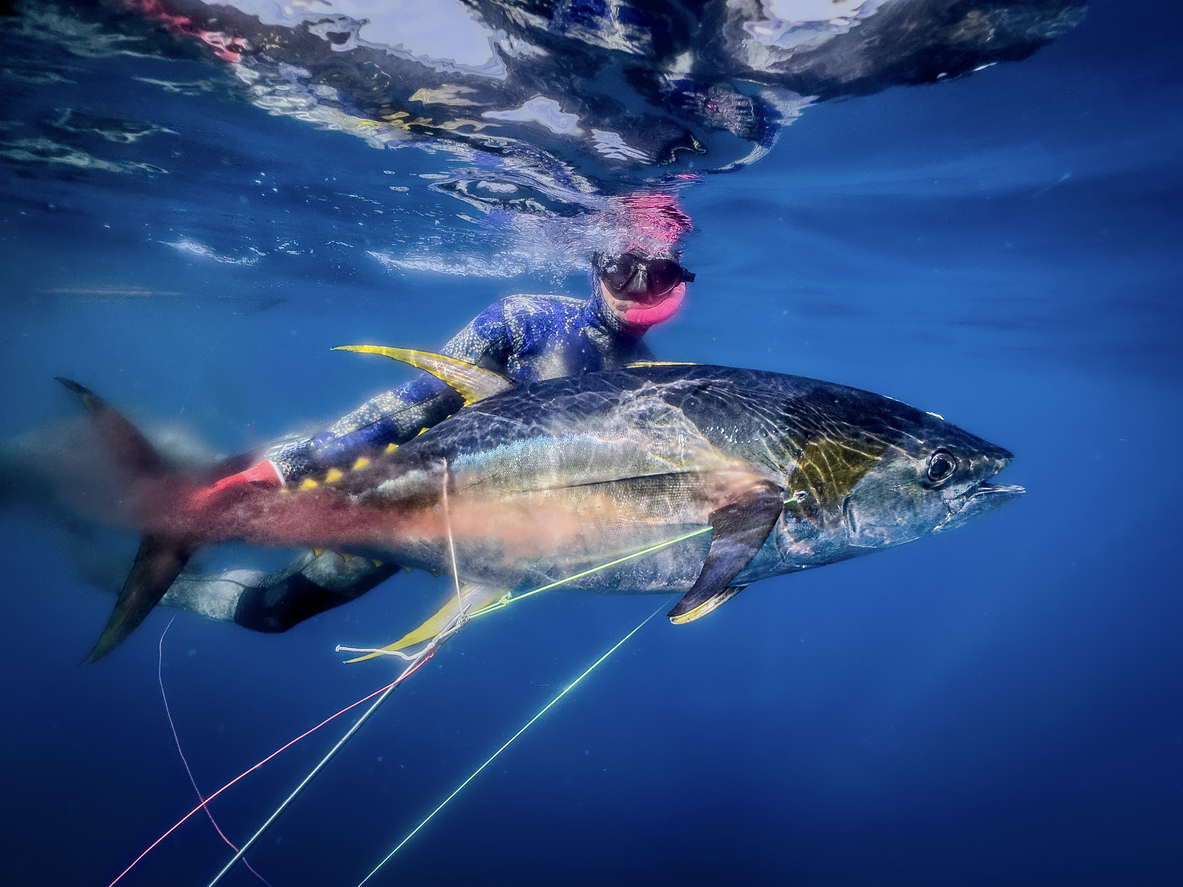 Fishing License Information For Us And Abroad Destinations