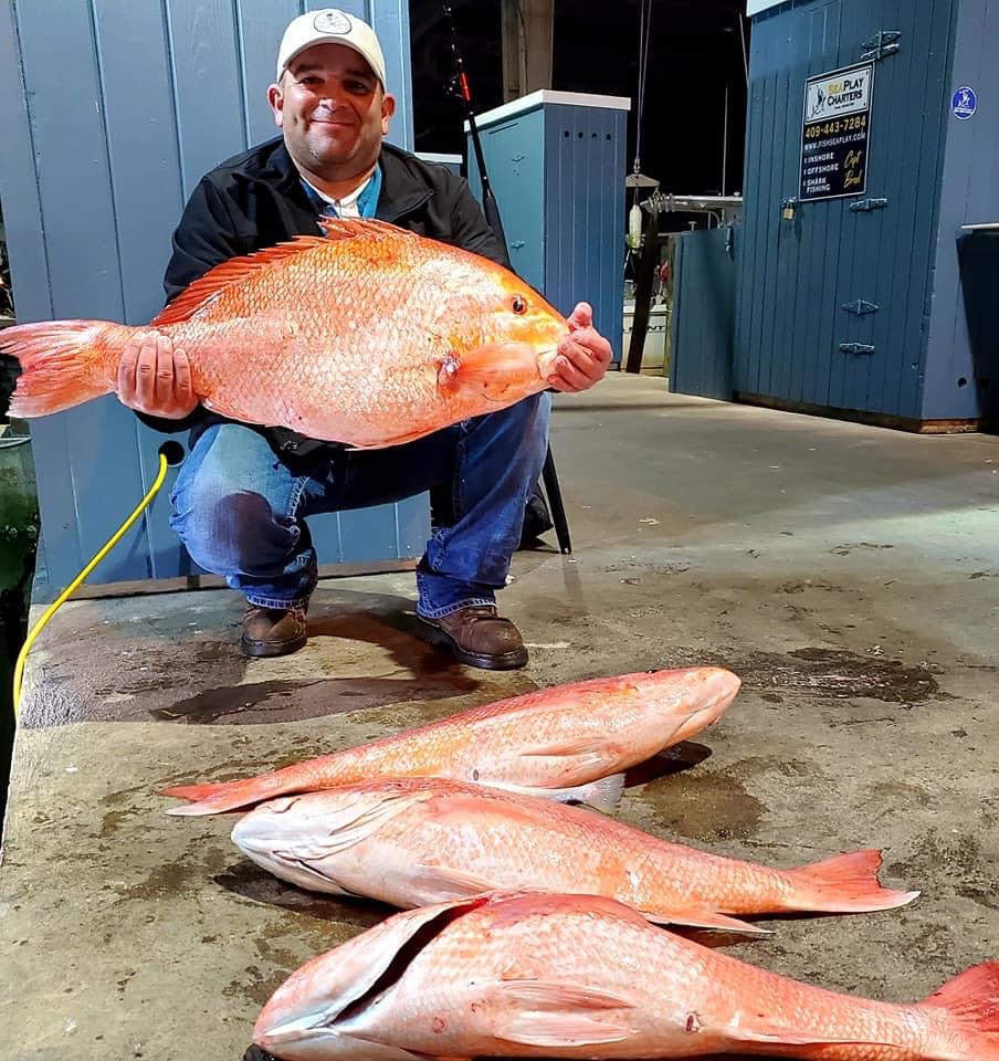 Snapper Species: What’s The Difference?