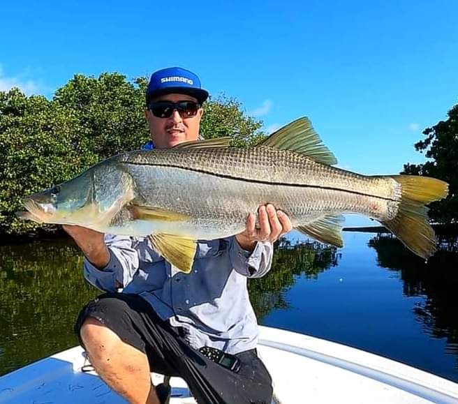 Marco Island Fishing: The Angler's Guide (Updated 2024)