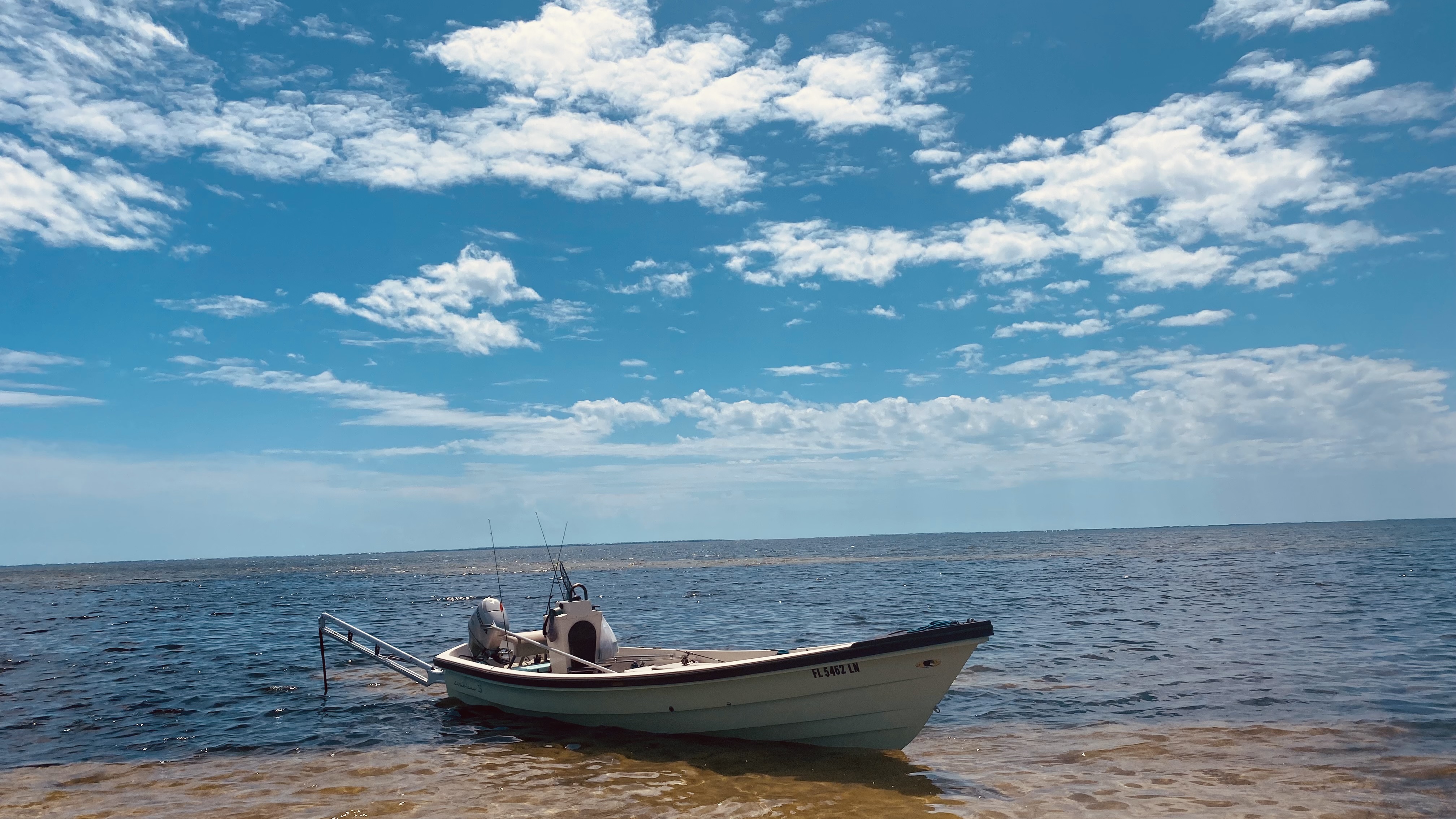 What Is A Bull Redfish