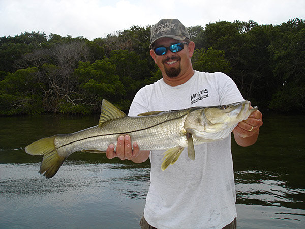 The 10 Most Popular Fish To Catch In Tampa, Florida