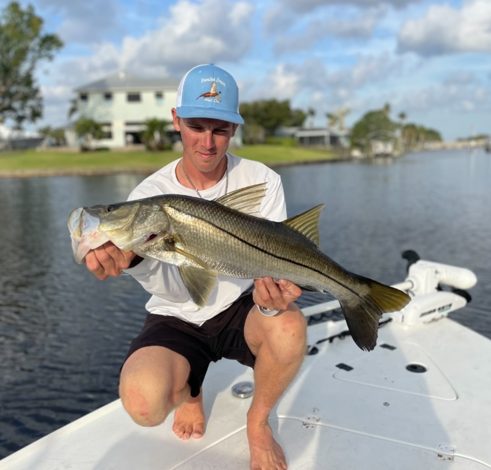 The Difference Between Lesser & Greater Amberjack