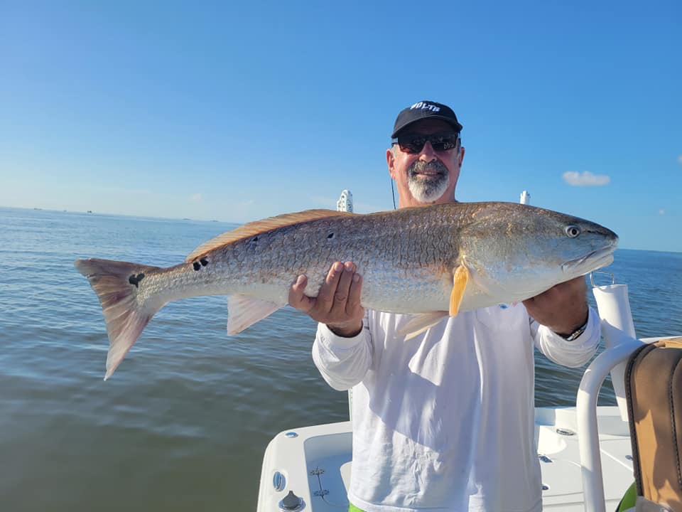 What Is A Bull Redfish