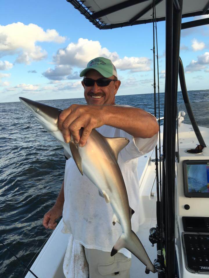 How to Catch Blacktip Shark & Blacktip Shark Fishing Charters